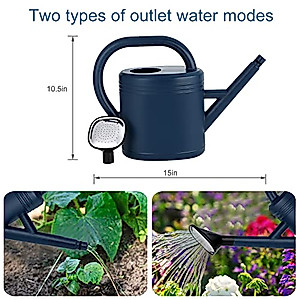 1 Gallon Watering Can for Indoor Plants, Garden Watering Cans Outdoor Plant House Flower, Gallon Watering Can Large Long Spout with Sprinkler Head