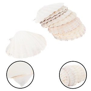 10 Pcs Natural Baking Sea Shells, 5 Inch Baking Shells, Scallop Shells for Serving Food (Random Color)