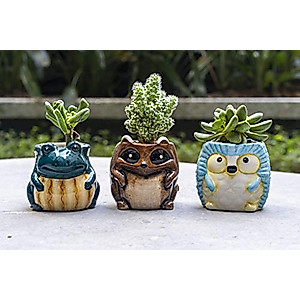 Matty's Garden Animal Ceramic Succulent Planters Set of 6 | 2.5 Inch Small Cactus Pots with Drainage Hole Raccoon Owl Turtle Hedgehog Frog Fox