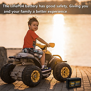 NERMAK 12V 10Ah Lithium LiFePO4 Deep Cycle Battery, 2000+ Cycles Rechargeable Battery for Solar/Wind Power, Small UPS, Lighting, Power Wheels, Fish Finder and More, Built-in 10A BMS