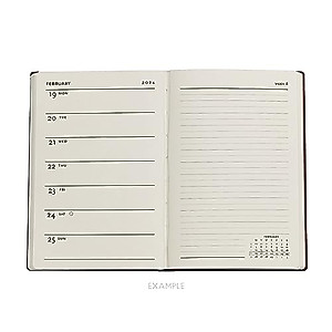 Paperblanks Van Gogh Iris 12 Month 2024 Diary, Verso - Mini (140 x 95), English (International Holidays)