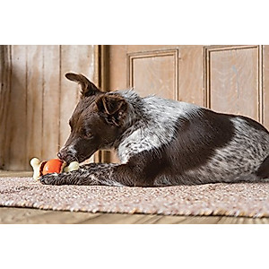 PetSafe Sportsmen Natural Rawhide Treat Refill Rings, Replacement Treats for PetSafe Sportsmen Treat Ring Holding Toys, MEDIUM (SIZE B RINGS)