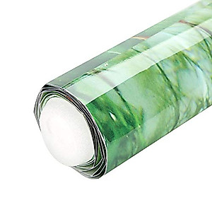 PVC Aquarium Background Poster,Water Grass Style PVC Adhesive Static Aquarium Wallpaper Background(61 * 41cm)