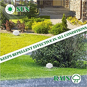 12 Pcs Natural Mouse Repellent Peppermint Oil to Repel Mice and Rats, Rodent Rat Repellent for Car Engines Kitchen Indoor Outdoor, Keep Moles & Voles Out of Your Lawn/Garden, Pet Safe