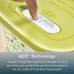 Tupperware FridgeSmart Food Storage Container - Small Deep Tub 1.8L - Keeps Food Fresher For Longer - Secure Seal - Stackable for Easy Organisation - BPA Free Plastic - Tubs with Lid