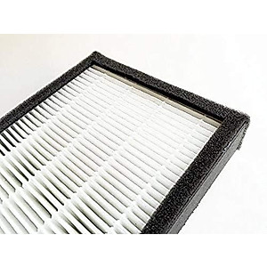 Nispira FLT5000 True HEPA Filter Replacement For Air Purifier AC5000, AC5000e, AC5250pt, AC5350b, AC5350bca, AC5350w, AC5300b, Black Decker BXAP040, BXAP250, Idylis IAP-GG-125, 2 Packs