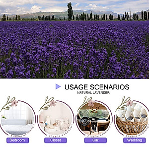 CoolCrafts Dried Lavender Flowers, Dry Lavender Buds Bulk Wholesale Fragrant Lavender for Wedding Toss, Crafts, Sachets - 1/2 Pound