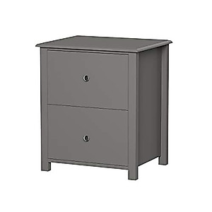 Lavish Home End 2 Drawers-Sofa Side Table, Gray & Silver