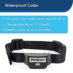 PetSafe Rechargeable In-Ground Fence for Dogs and Cats - from The Parent Company of Invisible Fence Brand – Inground Wire Not Included – Pick Your Wire Gauge Separately
