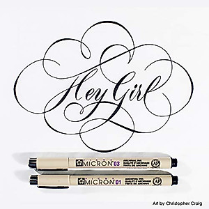 Sakura 30581 Pigma Micron Blister Card 05 Ink Pen, 0.45-mm, Black