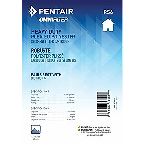Pentair OMNIFilter RS6 Sediment Water Filter, 10-Inch, Whole House Heavy Duty Pleated Replacement Cartridge, 10" x 4.5"