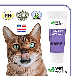 Vet Worthy Urinary Paw Gel for Cats - Cat Supplement to Support Healthy Urinary Tract and Bladder Health - Feline Supplement with Cranberry Extract, L-Lysine and Vitamin C - Salmon Flavor, 3oz