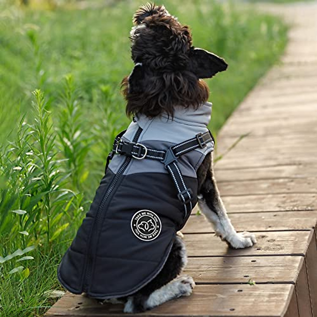 Gyuzh Padded Vest Dog Jacket Warm Zip Up Dog Vest Jacket with Harness Winter Small Dog Coat - Dog Clothes for Small Dogs (Black + Grey, Medium)