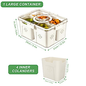 shopwithgreen Fruit Storage Containers for Fridge with Lid and Handle, Portable Fresh Produce Saver, Food Box Container with 4 Removable Colanders for Berry, Vegetable, Refrigerator Organizer Bins