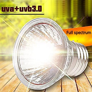Dehydrator Reptile Heating Lamp Bulbs Kit with Clip-on Ceramic Light Holder Turtle Basking UV Heating Lamp Set for Tortoises Lizard Lighting 220V (Color : Black and 75W lamp)