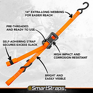 CARGOSMART 10' 1500lb CarbonX Ratchet Tie Downs 2 Pk