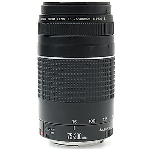 Canon EF 75-300mm f/4-5.6 III Telephoto Zoom Lens Black