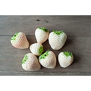 White Strawberry Seeds - 200+ Seeds - White Pineberry Seeds - Made in USA, Ships from Iowa.