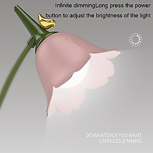 magical JD LED Desk Lamp Cordless Table Light Adjustable Gooseneck Dimmable Touch Rechargeable Battery Eye-Caring Night Light for Kids,Mini Cute Lamp for College Dorm Bedroom Reading (Pink)