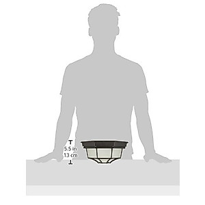 Trans Globe Lighting 40582 BK Traditional One Flushmount Lantern Outdoor-Post-Lights, 5-Inch, Black