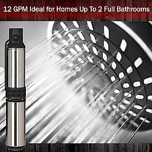 Red Lion RL12G05-3W2V Submersible Deep Well Pump with Control Box 1/2 HP, 12 GPM, 3-Wire, 230 Volt, Steel, 14942405