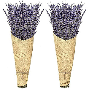 Timoo Dried Lavender Bundles 100% Natural Dried Lavender Flowers for Home Decoration, Photo Props, Home Fragrance, 2 Bundles Pack