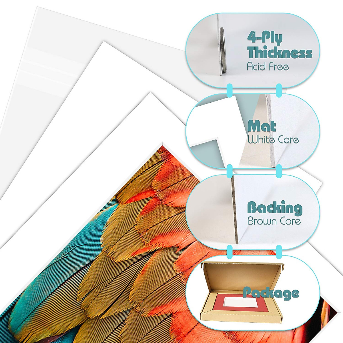 50 set of 11x14 White Photo Mats for 8x12 + backing + bags