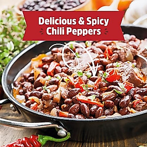 Back to the Roots Non-GMO Chili Planter, Grow Organic Chili Peppers Year Round, Windowsill Grow Kit, Top Gardening Gift, Holiday Gift, & Unique Gift