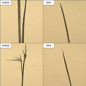 Briogeo Don't Despair, Repair! Strengthening Treatment Oil, Hair Oil Treatment for Dry, Damaged Hair, Helps Seal Split Ends, Enhances Shine, Hydrates, Nourishes, Vegan, Cruelty-Free, 1 fl oz