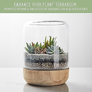 Horticultural Charcoal for Indoor Plants (1 Quart), Hardwood Soil Additive for Orchids, Terrariums, and Gardening