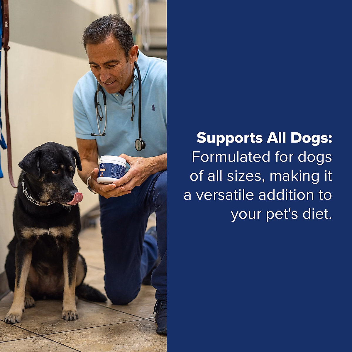 Dr. Jeff Werber Body Boost Multivitamin for Dogs - Heart Shaped Soft Chews with Essential Omega Fatty Acids, Vitamins and Minerals of Dogs - Tasty Beef Flavor - 60 ct.