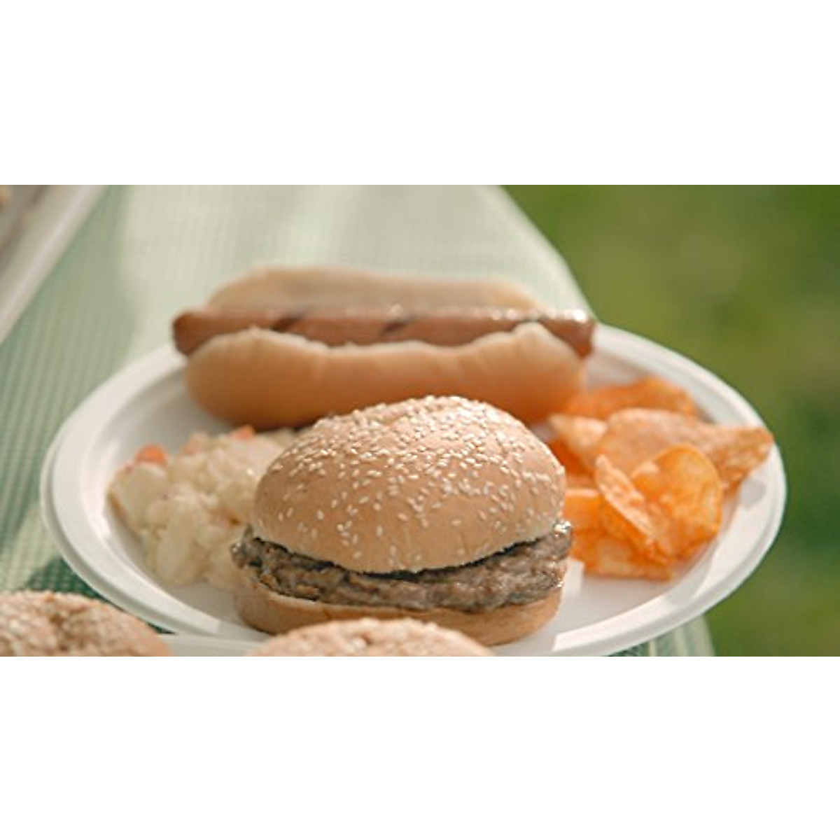 Chinet 10 3/8 Dinner Plate 100-count Box