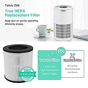 Tailulu Air Purifier Replacement Filter for D09 Air Cleaner, 3-in-1 True H13 HEPA Filter, High-Efficiency Activated Filter, 1 Pack