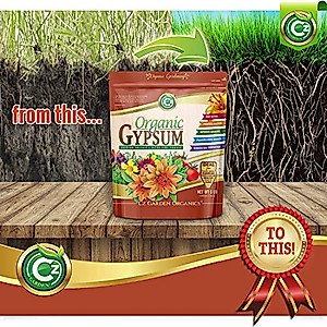 Organic Gypsum - Made in USA - Calcium Sulfate Dihydrate Powder - Garden Soil Amendment Fertilizer for Lawns, Plants, Mushroom Cultivation. Calcium & Sulfur Additive. Cures Blossom End Rot in Tomatoes