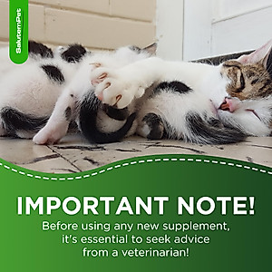 Dog Prenatal Vitamins | Pregnant Cat Supplies | Prenatal Vitamins for Dogs | Product for Pregnant Cat | Prenatal Dog Vitamins | Vitamins for Pregnant Dogs and Cats | Pregnant Dog Supplies | 2 oz