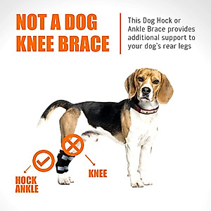 NeoAlly® - Rear Leg Hock Brace with Metal Spring Strips, Dog Leg Brace for Rear Leg, Hock and Ankle Support, Rear Dog Leg Brace for Smaller Dogs, Short Version, Medium, 1 Pair