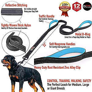 Primal Pet Gear Dog Leash 6ft Long,Traffic Padded Two Handle,Heavy Duty,Reflective Double Handles Lead for Control Safety Training,Leashes for Large Dogs or Medium Dogs,Dual Handles Leads(Black)