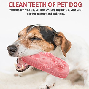POPETPOP Dog Chew Slipper Shoe Shaped for Teething Puppies Molar Teeth Cleaning Chew Activity