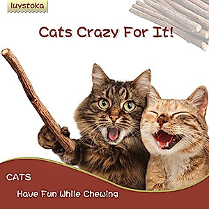 Luystoka [ 30pcs] Silvervine Sticks, Cat Chew Stick, Catnip Toys, Matatabi Sticks for Indoor Cats,Kitty, Wooden Dental Sticks, Kitten Teething Interactive Wand Toys for Cats