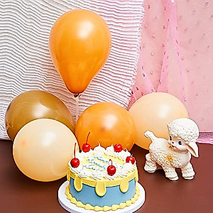 120 Pieces 5 Inch Retro Latex Balloons Retro Party Balloons for Baby Shower Birthday Wedding Engagement Graduation Party Art Performance Reveal Decoration (Caramel, Coffee, Apricot)