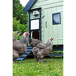 ChickenGuard Automatic Chicken Coop Door Openers, 3 Models, Timer/Light Sensor, Lift up to 4kg Pop Hole Door, Batteries (Premium)