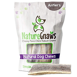Nature Gnaws USA Elk Antlers for Dogs 5-8" (3 Count) - Mix of Split and Whole Pieces - Long Lasting for Aggressive Chewers - Natural Dog Chew Bones