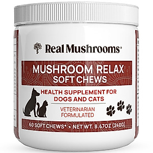 Real Mushrooms Calming Chews for Dogs - Cat & Dog Calming Treats w Reishi & Lion's Mane, Calming Treats for Dogs, Calming Chews for Relaxation, Calming Bites for Pet, Calming Cat Treats - 60ct