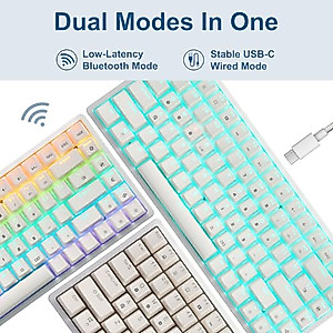 HUO JI Wireless Mechanical Gaming Keyboard, Programmable RGB Backlit, Bluetooth 5.0, Red Switches, 84 Keys, Wired 60% Keyboard for iPad, iMac Android/Windows Tablet Laptop Desktop, White