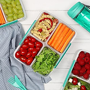 Sistema 1007708 To Go Quad Split Food Storage Container, Clear with Coloured Clips, 1.7 L