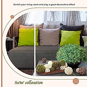 18 Pcs Green Moss Decorative Balls Wicker Rattan Cord Balls Set, Vase Bowl Filler Balls Hanging Balls for Christmas Centerpieces Home Tree Garden Wedding Party Coffee Table