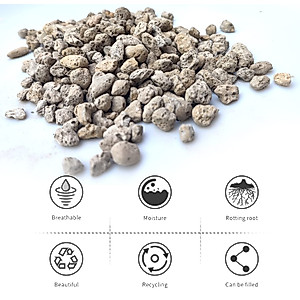 Horticultural Pumice for Plants Professional Sifted (12QT, 1/4 inch)