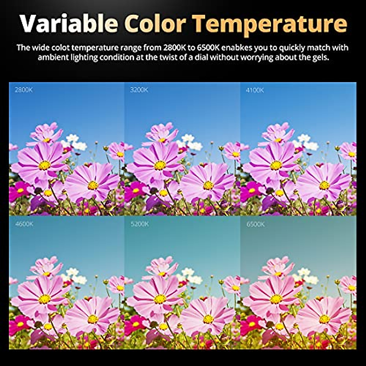 Godox ML60Bi ML60 Bi 60W Bi-Color LED Light Silent Mode Portable Brightness Adjustment Support Li-ion Outdoor LED Light with 2X NP970 Lithium Battery