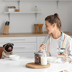 TkinTall Pug Gift for Pug Lovers - Pug Tumbler, Dog Cup with Lid, Pug Dad/Mom Gifts, Pug Stuff, Pug Decor 20 Oz Stainless Steel Insulated Bottle Coffee Mug