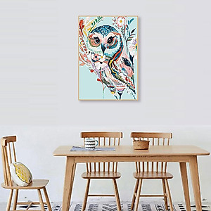 DIY Paint by Numbers for Kids & Adults & Beginne,DIY Canvas Painting Gift Kits for Home Decoration,Rainbow Owl Home Wall Decor 16x20''(Without Framed)